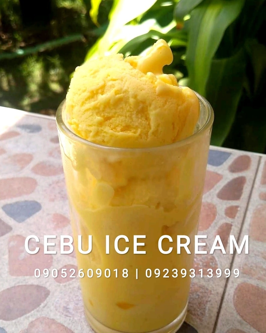 Taste the Best Dirty Ice Cream in Tube in Cebu - Philippines Tour Guide
